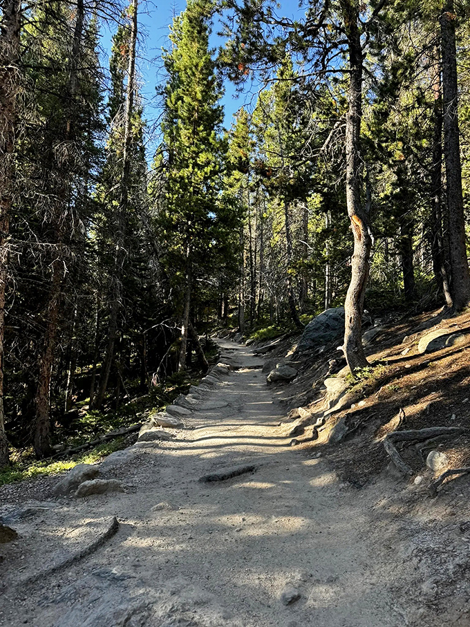 Fall's golden touch transforms this trail into nature's runway. The well-maintained path invites even reluctant hikers to strut their stuff.