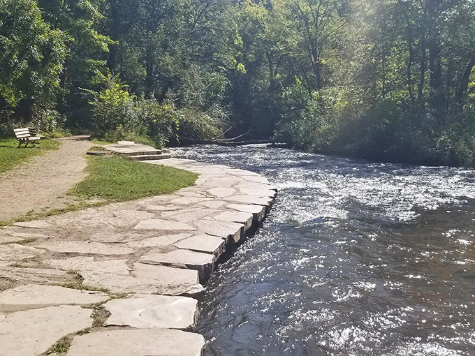 Nature's green cathedral awaits just steps from the city. This shaded pathway feels like stepping into a secret garden movie set.
