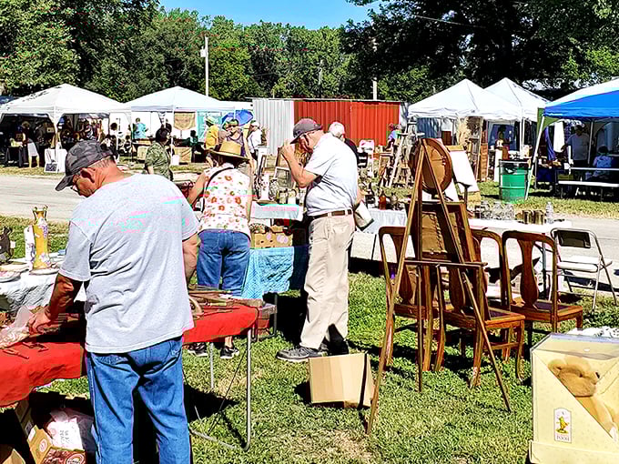 Treasure hunters navigate the grassy pathways between vendor stalls, where yesterday's castoffs await their second chance at usefulness and beauty.