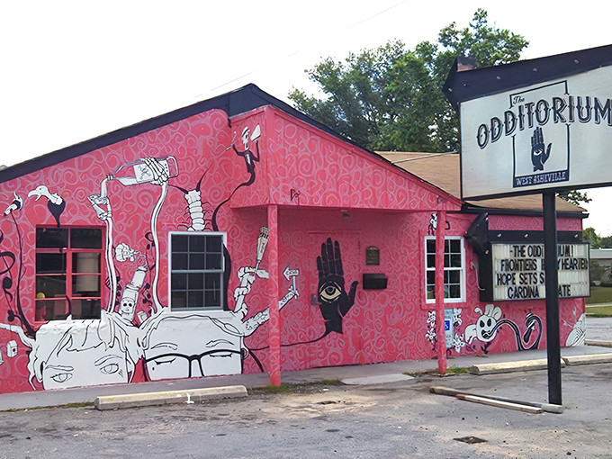 The pink exterior of The Odd delivers your first hint: conventional dining took a detour and landed somewhere gloriously weird in West Asheville.