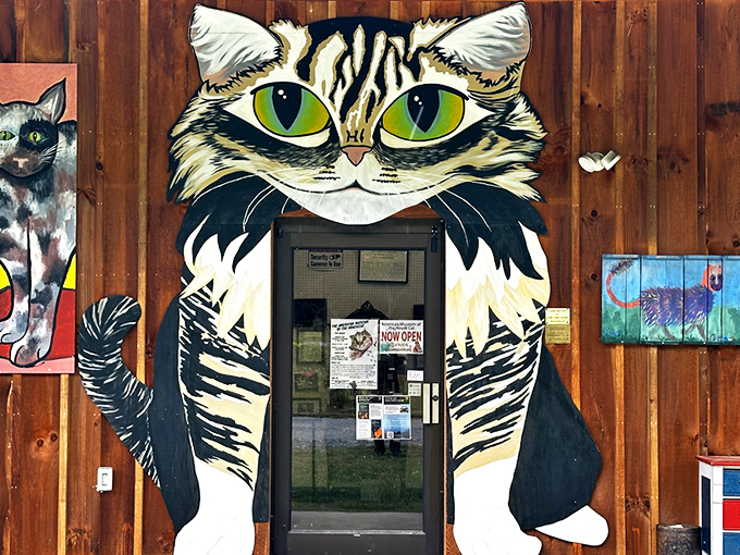 The unassuming wooden exterior of the American Museum of the House Cat beckons curious travelers like a feline sunning spot attracts neighborhood cats.