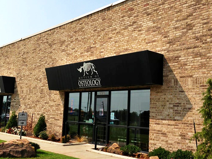 The unassuming brick exterior of Oklahoma City's Museum of Osteology gives no hint of the 300+ skeletons waiting inside. Like finding a diamond mine behind a convenience store.