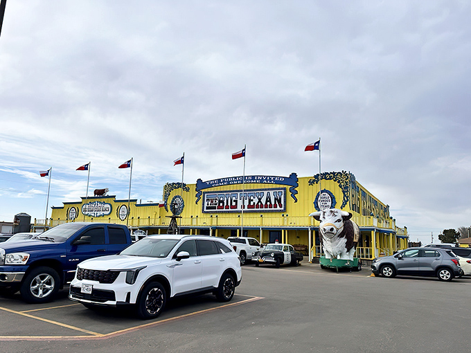 The bright yellow facade of The Big Texan stands like a neon beacon in the Texas Panhandle, complete with a cow statue that's dressed better than most tourists.