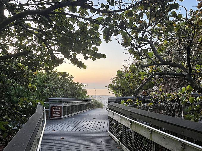 Nature's red carpet to the horizon. This wooden boardwalk through lush coastal vegetation offers that perfect "I've discovered something magical" moment at sunrise.