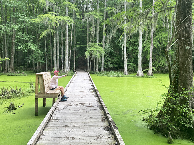 A wooden boardwalk stretches into emerald-green duckweed, inviting exploration while a visitor pauses to soak in the primordial beauty of cypress sentinels standing guard.