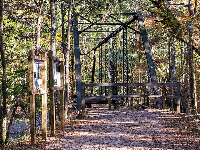 The rusted skeleton of Bellamy Bridge stretches across the Chipola River like an iron dinosaur that forgot to evolve. History and hauntings included at no extra charge.
