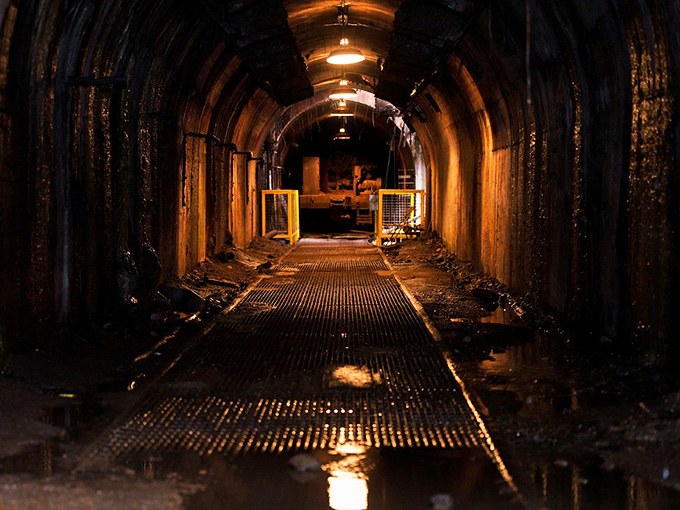 
Water dances skyward at Birmingham's urban oasis, a refreshing contrast to the industrial heat that once defined this corner of Alabama.