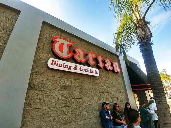The iconic red Tartan sign beckons like a lighthouse for hungry souls. That bright red door promises culinary adventures within those stone walls.