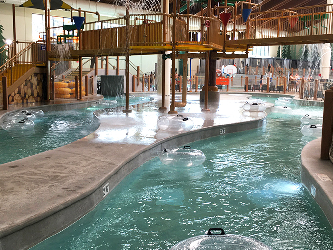 The indoor water paradise at Great Wolf Lodge keeps the splashing going year-round, regardless of Georgia's weather tantrums outside.