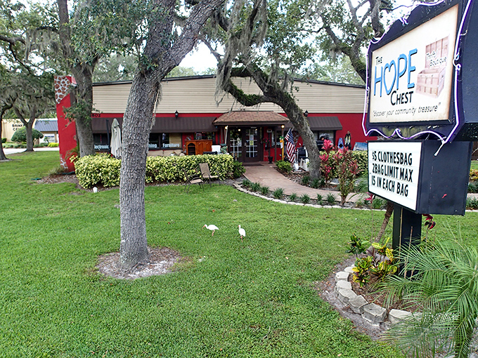 The HOPE Chest welcomes bargain hunters under Florida's majestic oak trees, where the blue building promises treasures within like a retail oasis.