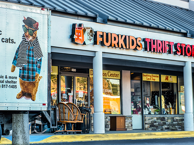 The unassuming storefront hides a wonderland of treasures inside. Like finding a five-star restaurant in a strip mall, prepare to be delightfully surprised.