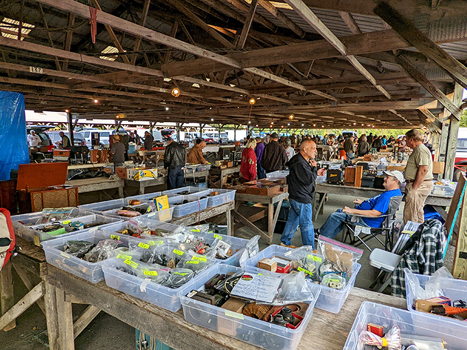 A treasure hunter's paradise where vintage glassware gleams in emerald and amber hues, while collectible figurines stand guard over memories waiting to be adopted. 