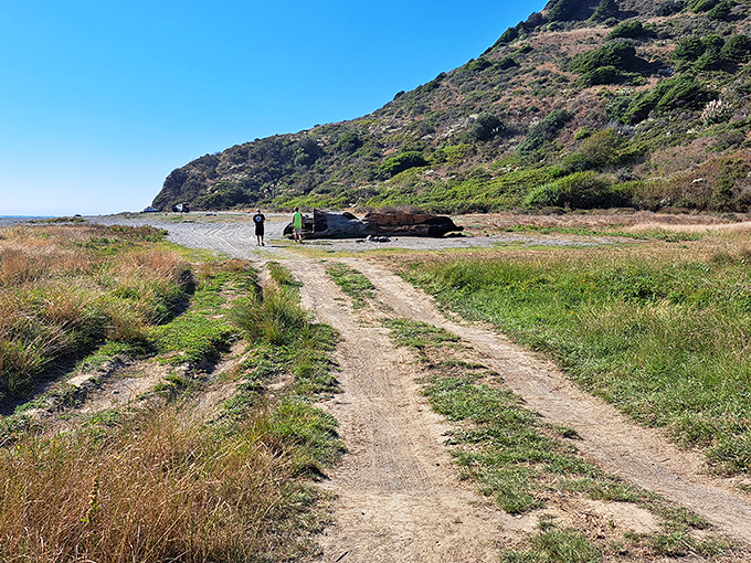 Usal Beach Campground: Where golden hills meet dark sand, your vehicle becomes your coastal companion on California's wildest shoreline.