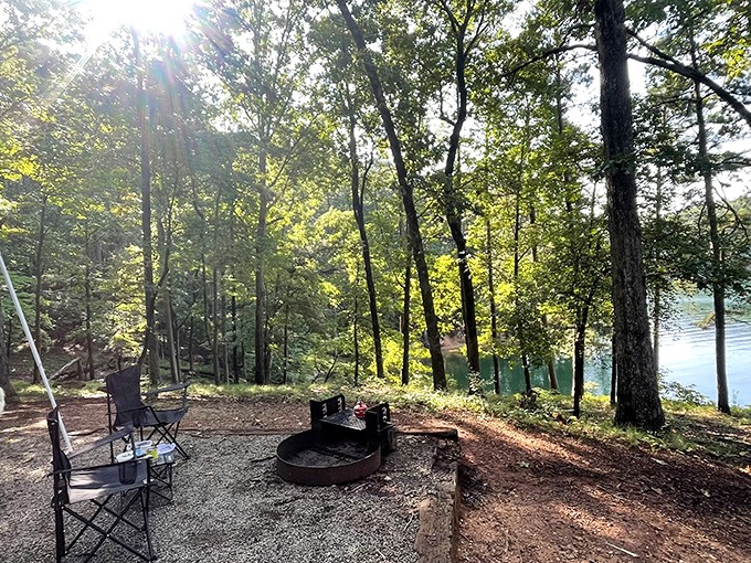 Camping nirvana: Lakeside sites where the morning sun filters through Georgia pines and that first cup of coffee tastes suspiciously like happiness.