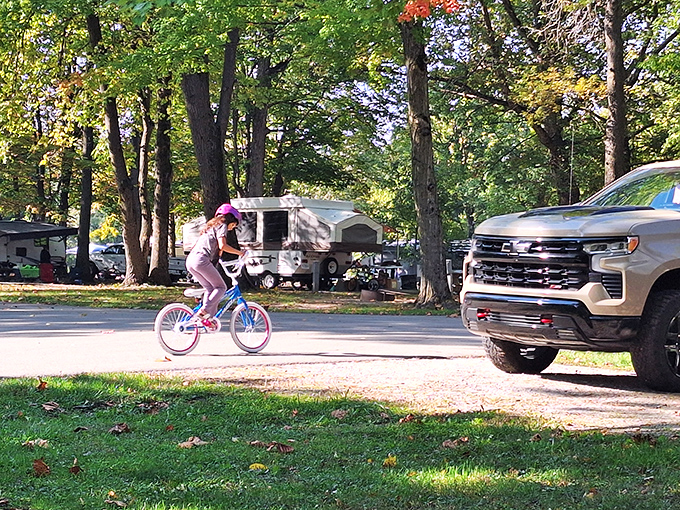 Nothing says "welcome to the great outdoors" quite like a campsite framed by golden-leaved sentinels and the promise of s'mores over an open fire.