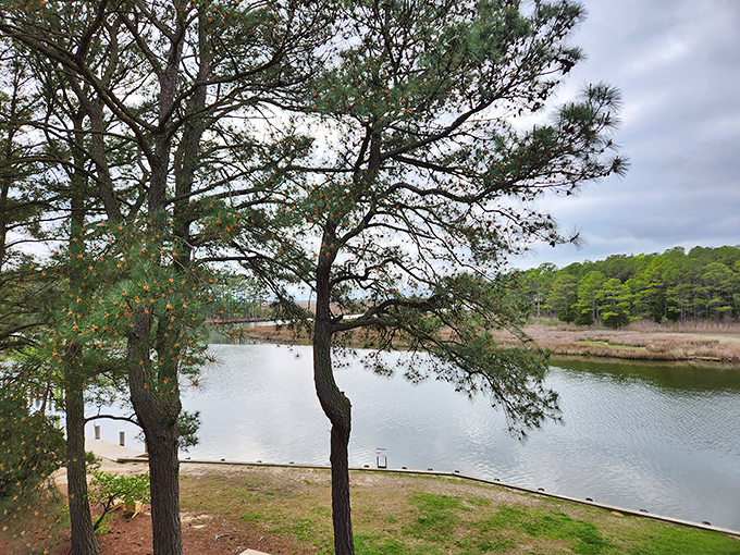 Where land meets water in perfect harmony. Janes Island offers picturesque waterfront views that make you wonder why you ever bothered with Caribbean vacations.