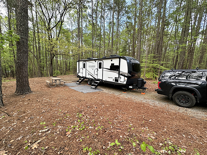 The perfect campsite equation: one dome tent + blue chairs + crackling fire = memories that outlast the mosquito bites. 
