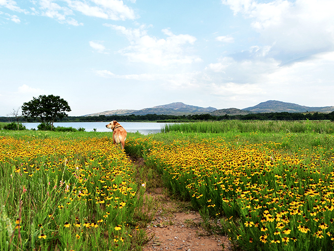 Home sweet wilderness! A cozy travel trailer nestled among autumn oaks creates the perfect basecamp for adventures in Oklahoma's rugged backcountry.