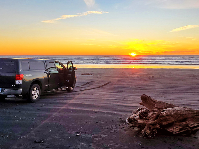 Camping nirvana achieved! A perfectly situated truck camper nestled among towering pines, with camp chairs awaiting stories around the fire ring.