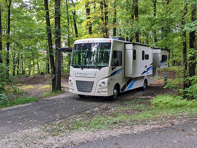 Nature's perfect gathering spot: a flock of geese enjoying Lake Marburg's pristine waters while farmland rolls gently in the background.