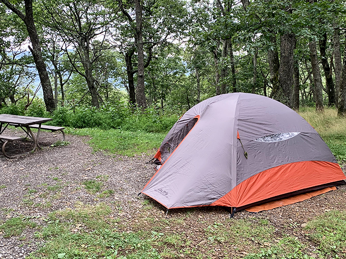 Camping nirvana unfolds at Big Meadows, where wildflowers frame tent sites like nature's welcome mat.