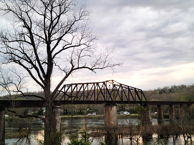 Fog embraces the bridge's grand arches like a Stephen King novel come to life. Perfect backdrop for those "I survived the creepy bridge" selfies.