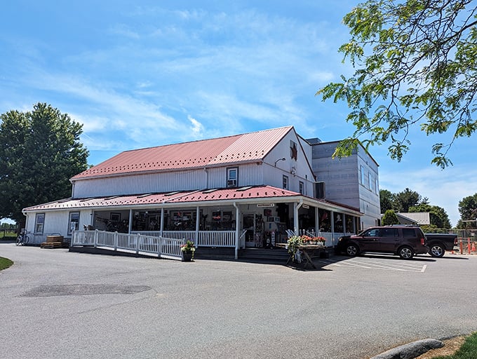 The classic white barn with its distinctive red roof stands as a beacon of baked goodness in Bird in Hand, Pennsylvania's rolling countryside. 