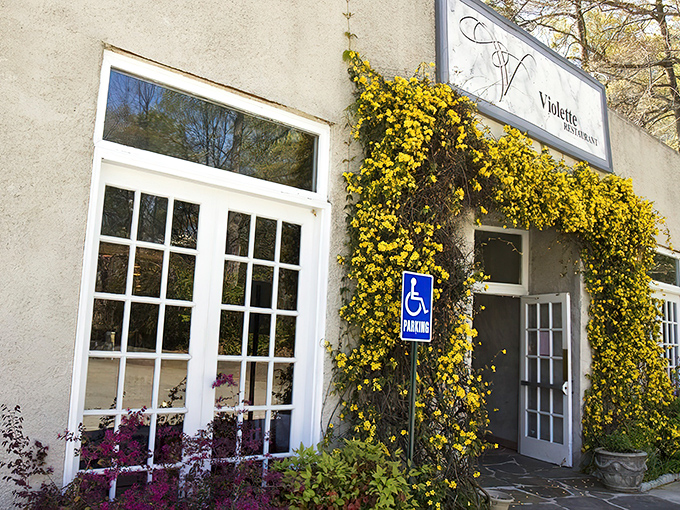 The ivy-draped entrance to Petite Violette beckons like a secret French hideaway. One step through those doors and Atlanta disappears behind you.