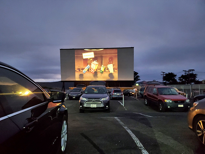 The magic hour at Sunset Drive-In, where cars gather like faithful pilgrims to worship at the altar of cinema under the twilight sky.