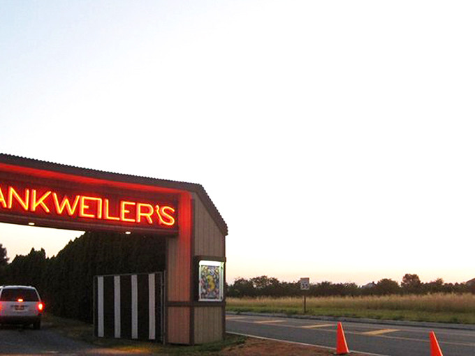 Twilight magic unfolds as cars line up facing the massive white screen, nature providing the perfect backdrop for cinematic adventures. 