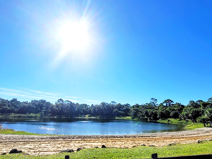 Evening magic unfolds as string lights twinkle above a crackling campfire, with palm fronds creating nature's perfect backdrop for fireside stories.
