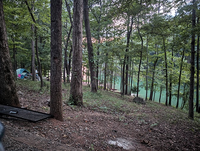 Camping nirvana: Lakeside sites where the morning sun filters through Georgia pines and that first cup of coffee tastes suspiciously like happiness.