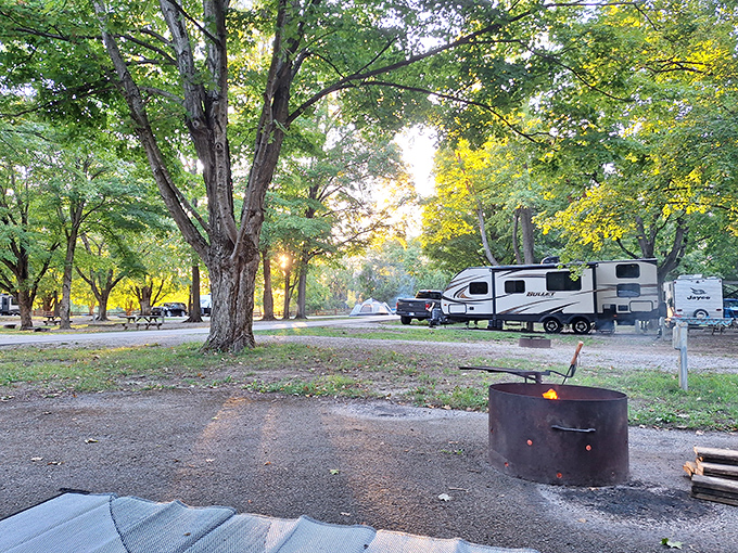 Nothing says "welcome to the great outdoors" quite like a campsite framed by golden-leaved sentinels and the promise of s'mores over an open fire.