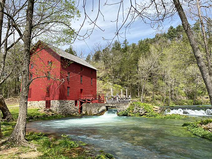 Spacious campsites nestled among graceful trees &ndash; nature's version of five-star accommodations without the mint on your pillow or the bill.