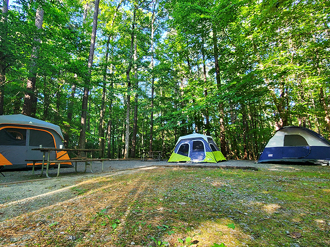 The perfect campsite equation: one dome tent + blue chairs + crackling fire = memories that outlast the mosquito bites.