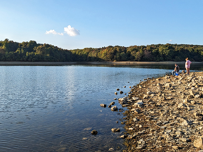 Nature's perfect gathering spot: a flock of geese enjoying Lake Marburg's pristine waters while farmland rolls gently in the background.