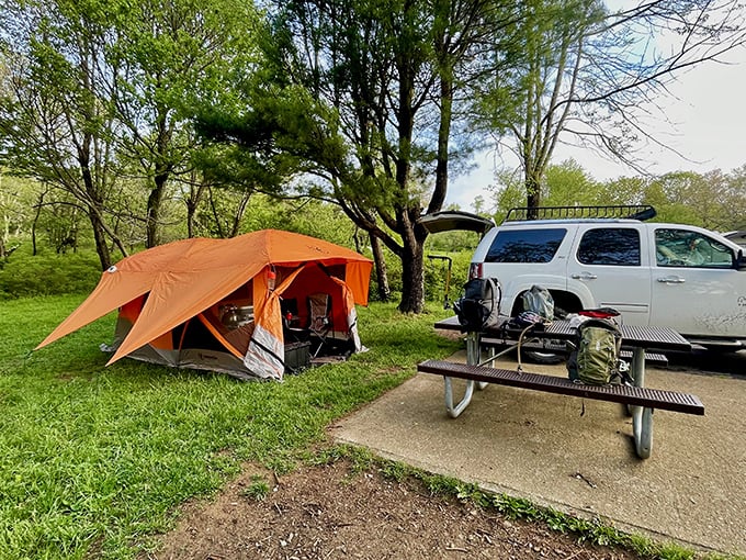 Camping nirvana unfolds at Big Meadows, where wildflowers frame tent sites like nature's welcome mat.
