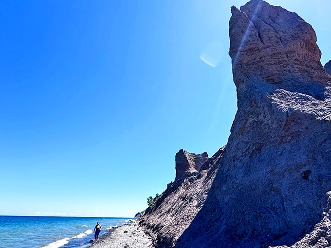 A wooden footbridge beckons through a verdant forest canopy, promising adventure without the need for Indiana Jones' whip or fedora.
