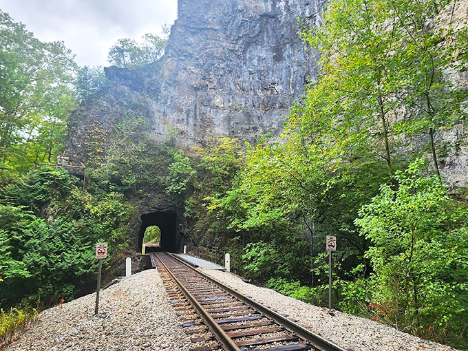 Mother Nature's architectural masterpiece frames the railroad tracks like she's showing off a million years of erosion artistry.