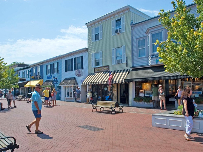 Victorian dreams come to life along these tree-lined streets where every building looks like it's auditioning for a Wes Anderson movie.