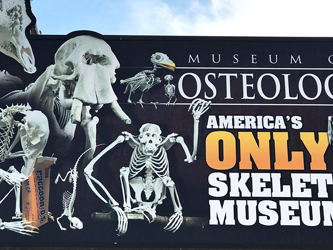 The unassuming brick exterior of Oklahoma City's Museum of Osteology gives no hint of the 300+ skeletons waiting inside. Like finding a diamond mine behind a convenience store.