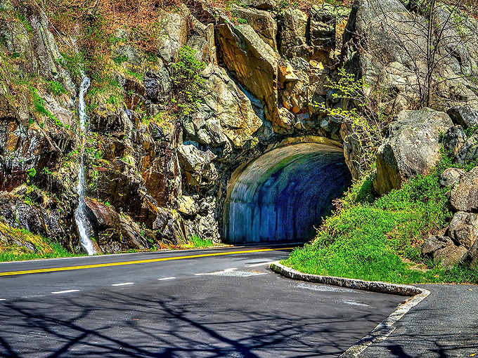 Winding through a cathedral of trees, Skyline Drive's curves aren't just roads&mdash;they're narrative arcs in nature's greatest story. Pure Virginia magic at 35 mph.