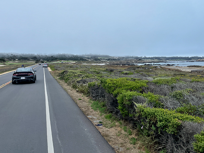 Where golf meets paradise: The gentle curve of 17-Mile Drive reveals emerald fairways kissing the horizon, with nature and luxury playing the ultimate doubles match.