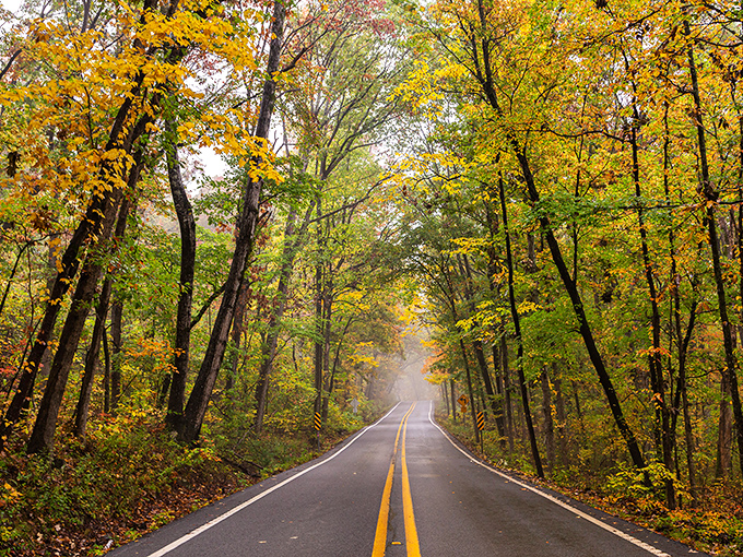 Where adventure begins! The open road of the Pig Trail stretches before you like nature's welcome mat into the Ozark wilderness.