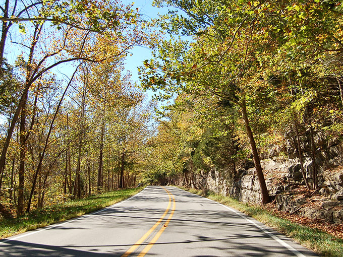 Nature's corridor awaits as autumn begins its slow dance along Highway 62. The limestone walls stand sentinel while trees prepare their grand finale.
