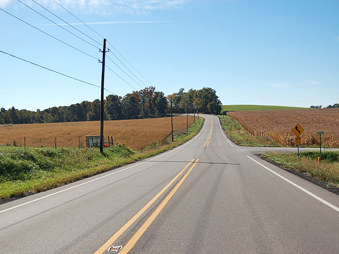 Nature's corridor awaits as autumn begins its slow dance along Highway 62. The limestone walls stand sentinel while trees prepare their grand finale.