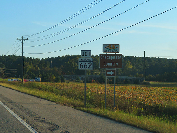 Welcome to Stevensville, where small-town charm meets Eastern Shore hospitality. The journey along the byway begins with these unassuming gateways to Maryland's hidden treasures.