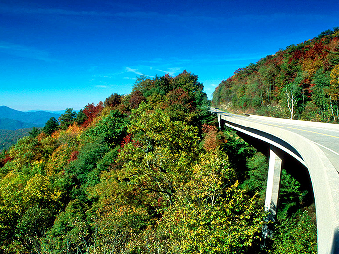 The Cherohala Skyway curves gracefully through autumn's explosion of color, nature's own masterpiece unfolding where North Carolina meets Tennessee's mountainous border.