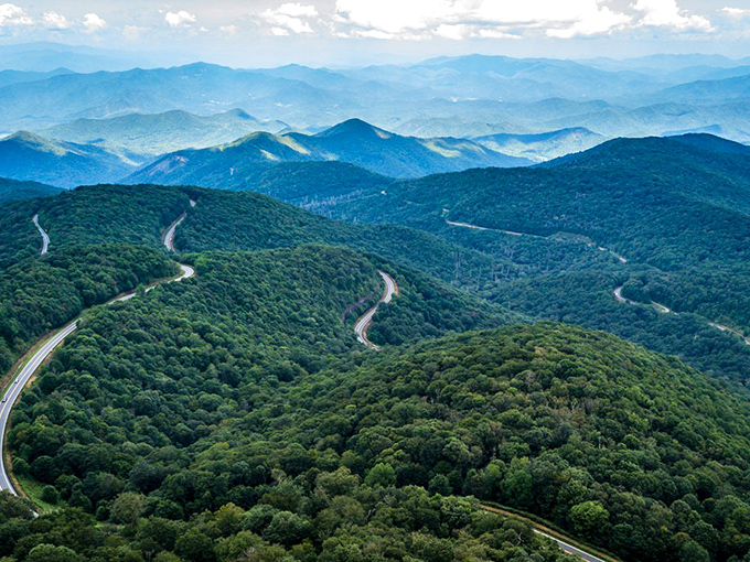 The Cherohala Skyway curves gracefully through autumn's explosion of color, nature's own masterpiece unfolding where North Carolina meets Tennessee's mountainous border. 