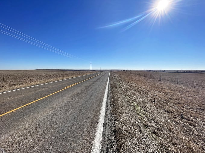 The road stretches toward infinity like nature's treadmill, minus the gym membership and with significantly better views.